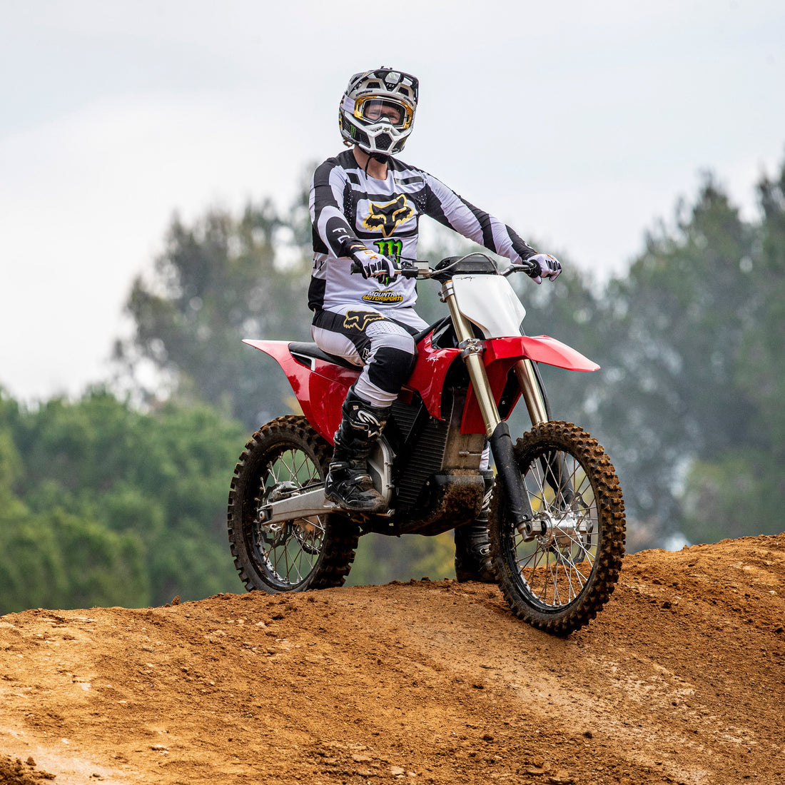 Stark Varg Day Hire – Hire-Me Moto